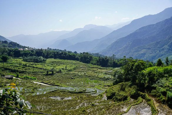 Trekking In Sapa, Vietnam: How To Book And Hike Gorgeous Sapa Valley