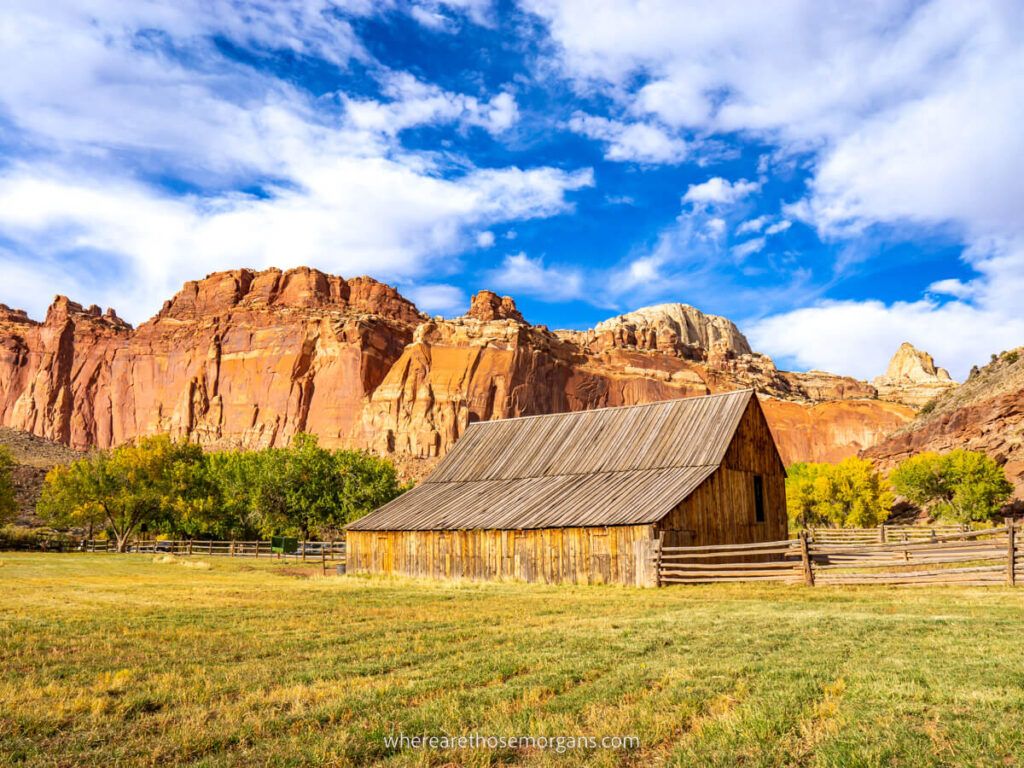 What You Shouldn't Miss In Capitol Reef National Park