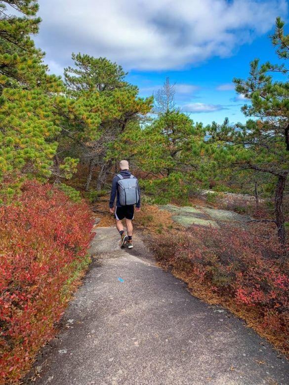 How To Hike Precipice Trail In Acadia National Park