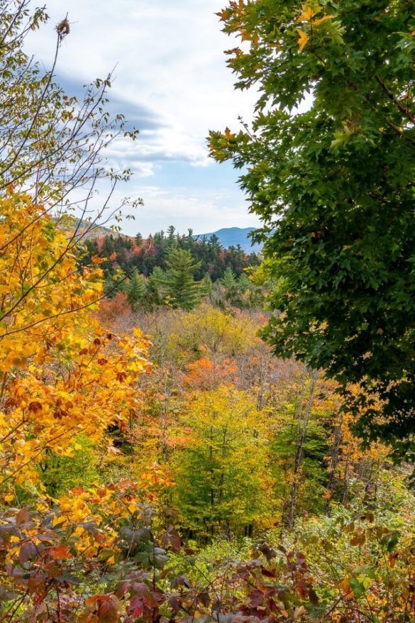 Kancamagus Highway NH: 13 Best Stops (+ Fall Foliage)