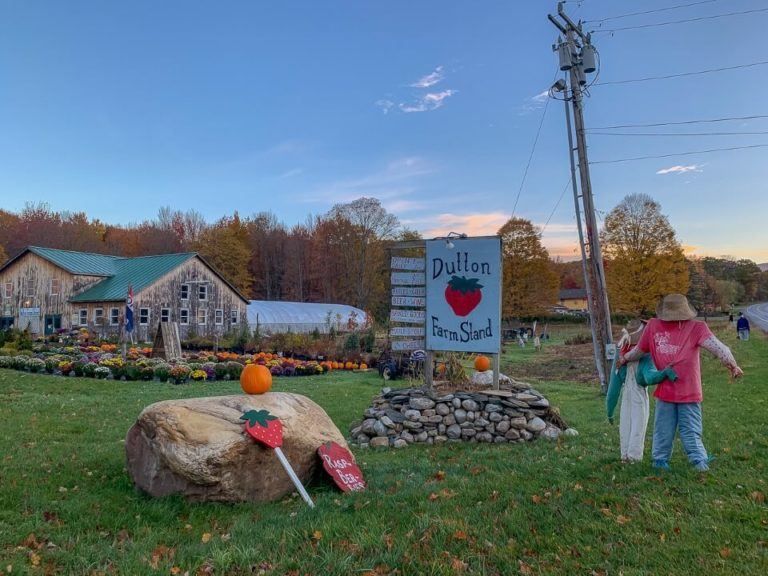 15 Best Things To Do In Manchester VT – Where Are Those Morgans