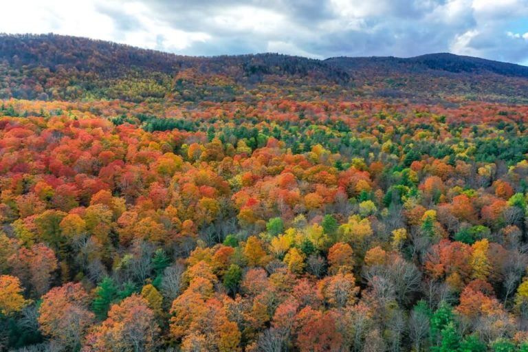 15 Best Things To Do In Manchester VT – Where Are Those Morgans