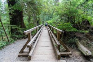 Lake 22 Trail Hiking Guide: Popular Day Hike In Washington