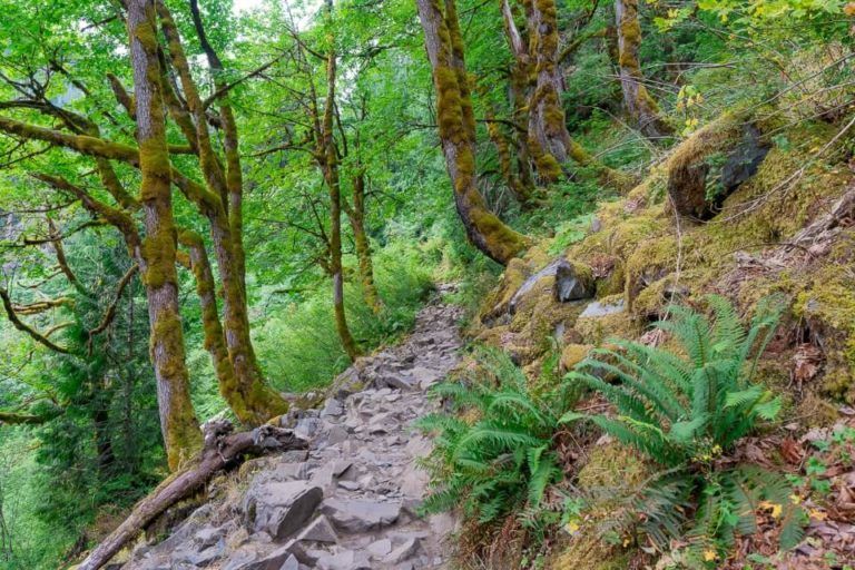 Lake 22 Trail Hiking Guide: Popular Day Hike In Washington