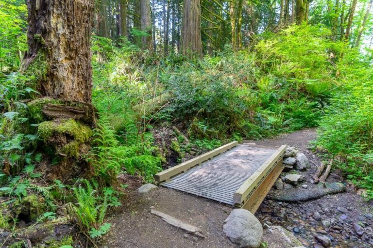 How To Hike Poo Poo Point Trail And Chirico Trail Near Seattle