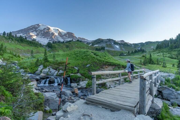 Skyline Trail Loop Mt Rainier: Stunning Hike With Special Views
