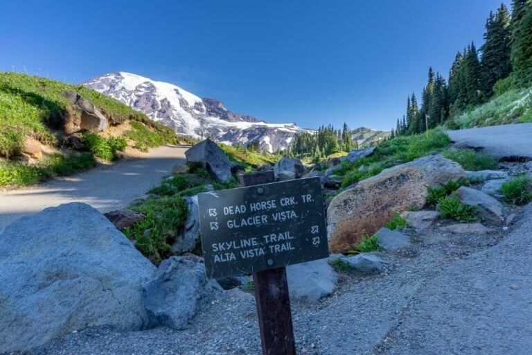 Skyline Trail Loop Mt Rainier: Stunning Hike With Special Views