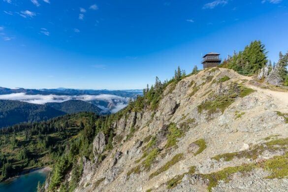 Hiking Tolmie Peak Trail In Mt Rainier: Everything You Need To Know
