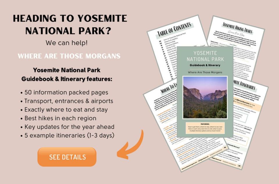 Yosemite Itinerary: Ultimate First Time Visitor Guide (1, 2 & 3 Day ...