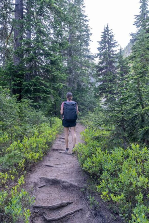 How To Hike Bench And Snow Lakes Trail In Mt Rainier
