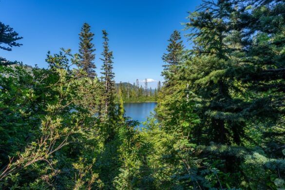 How To Hike Bench And Snow Lakes Trail In Mt Rainier