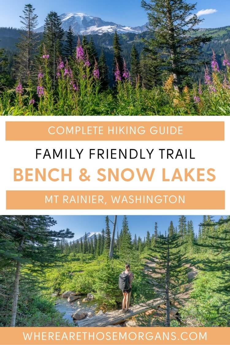Bench And Snow Lake Trail: Wonderful Short Hike In Mt Rainier