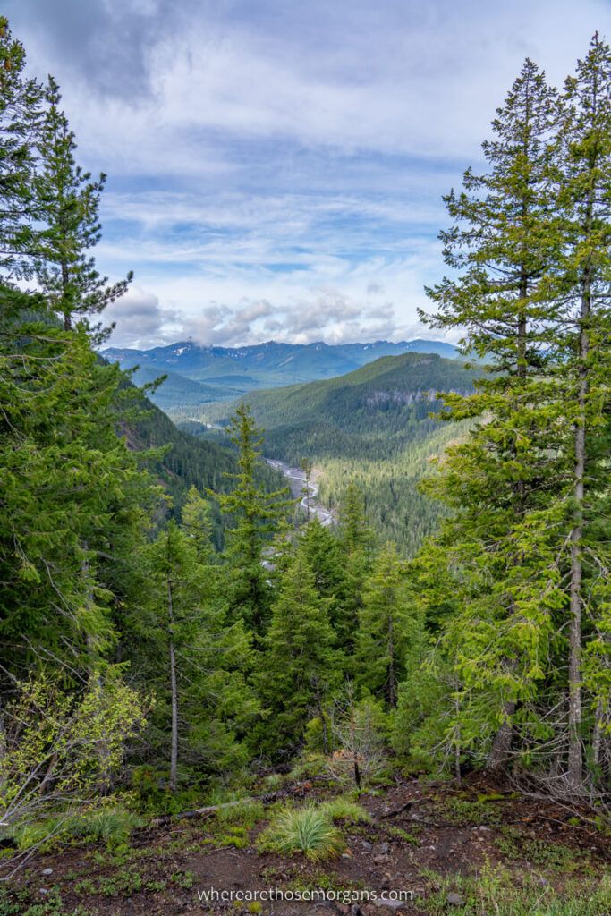 Mt Rainier Hiking Guide (Easy + Hard Trails)