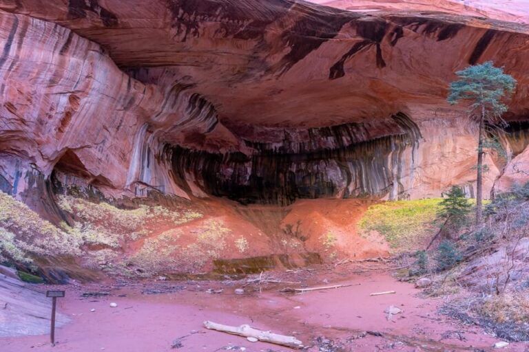 Kolob Canyon Hikes: 4 Trails To Hike In The Quiet Area Of Zion