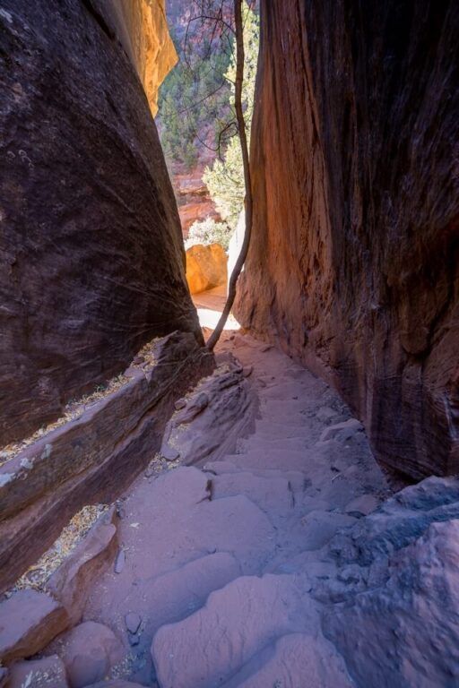 Emerald Pools Trail Zion National Park: Hike Lower, Middle + Upper Pool