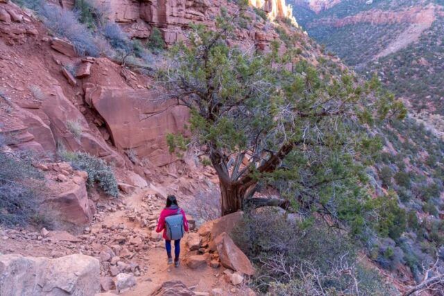 Hiking The Subway Zion: Epic Left Fork Bottom Up Day Hike