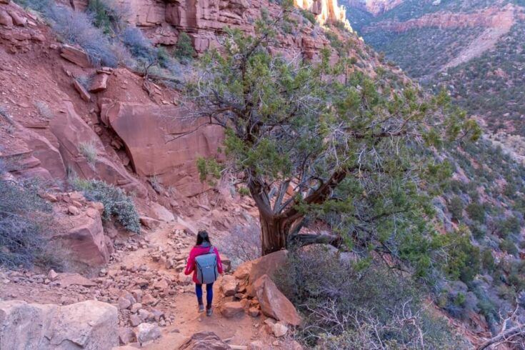 Hiking The Subway Zion: Epic Left Fork Bottom Up Day Hike