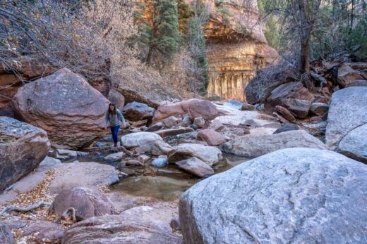Hiking The Subway Zion: Epic Left Fork Bottom Up Day Hike