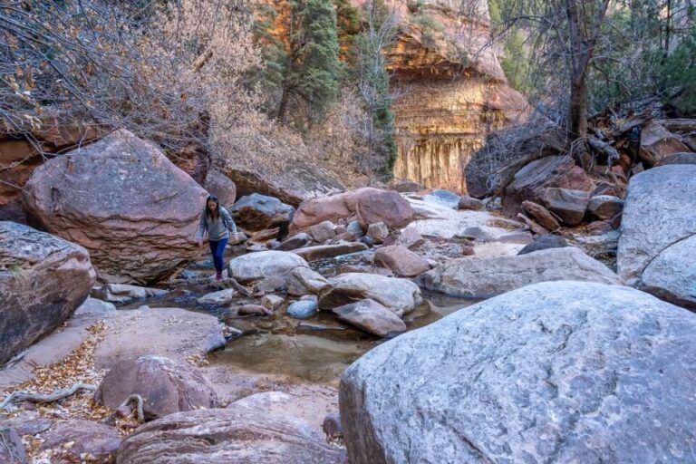 Hiking The Subway Zion: Epic Left Fork Bottom Up Day Hike