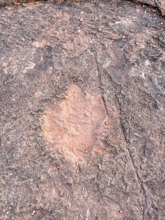 How To Hike Dinosaur Tracks Trail In Kanab, Utah