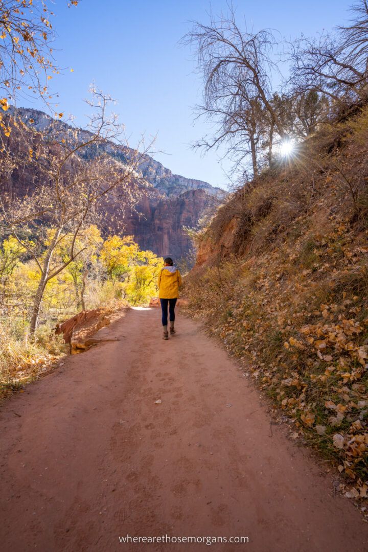 20 Awesome Hikes You Can't Miss In Zion National Park