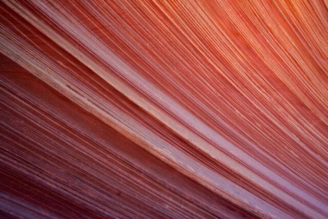 Essential Guide To Hiking The Wave In Arizona (2023)