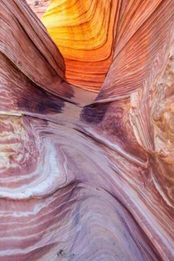 Essential Guide To Hiking The Wave In Arizona (2023)