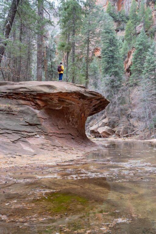 Complete Guide To Hiking West Fork Trail In Sedona AZ