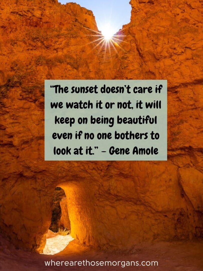 101 Uplifting Sunset Quotes, Captions + Puns