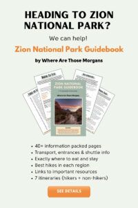 One Day In Zion National Park Itinerary: 5 Best Day Trip Ideas