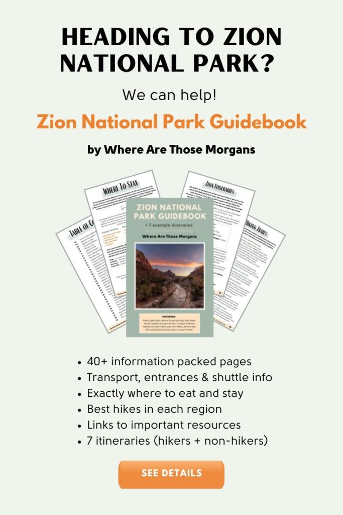 Zion National Park In Winter: 10 Important Things You Should Know