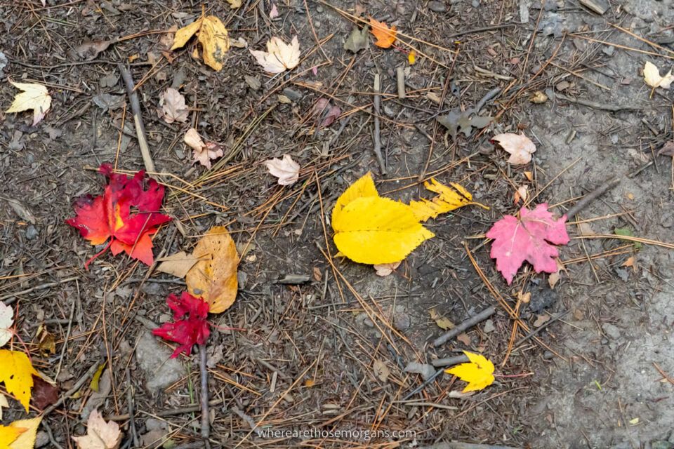 How To Hike To Eternal Flame Falls In New York