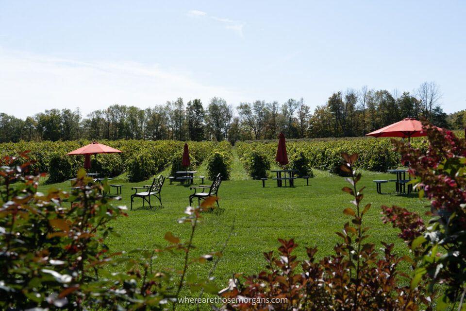 100+ Things To Do In The NY Finger Lakes By A Local