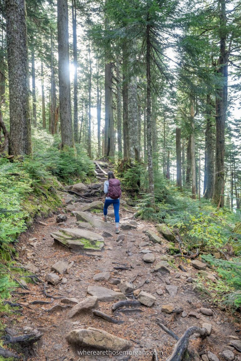 Mt Pilchuck Trail Hiking Guide: Awesome Washington Hike