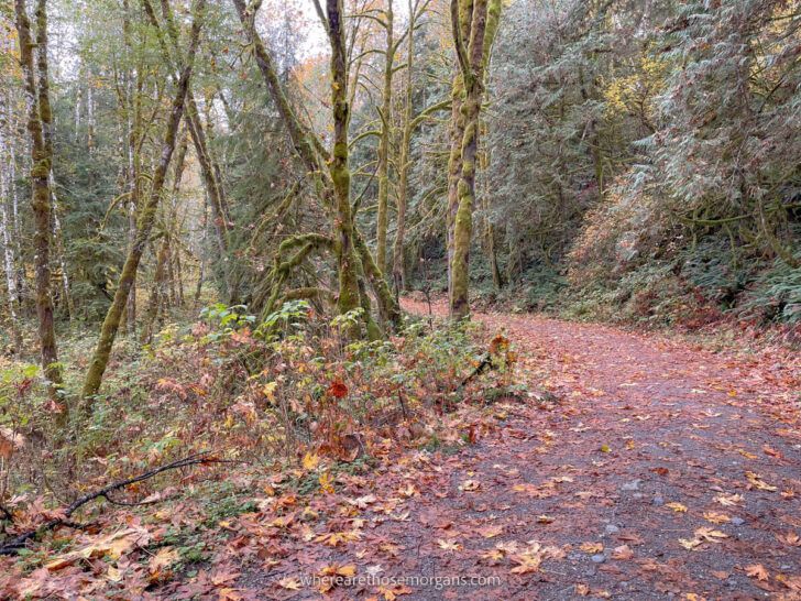 Hiking Lake Serene + Bridal Veil Falls Trail In Washington