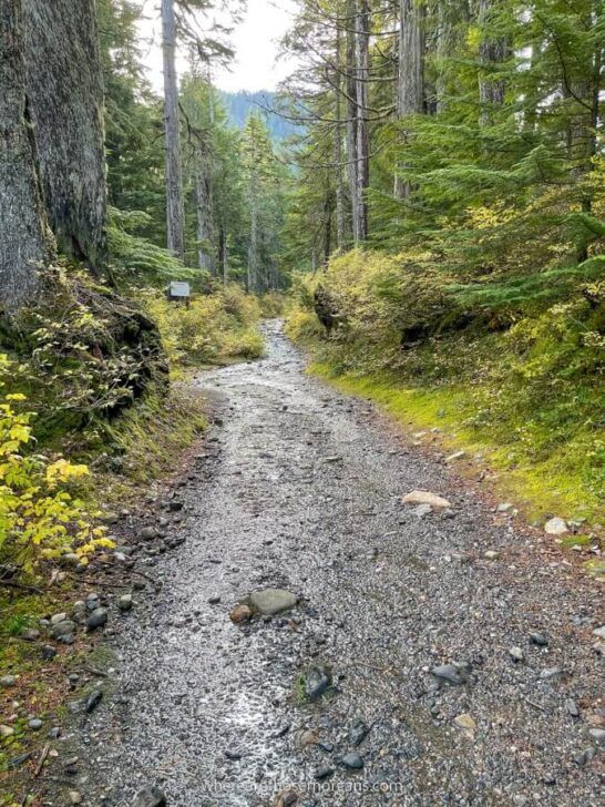 Mt Pilchuck Trail Hiking Guide: Awesome Washington Hike