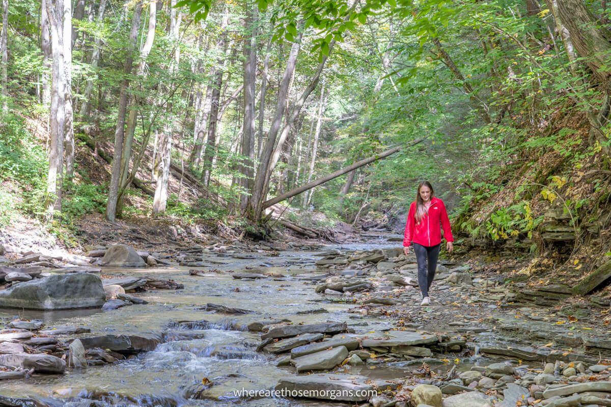 How To Visit Grimes Glen Park In Naples New York
