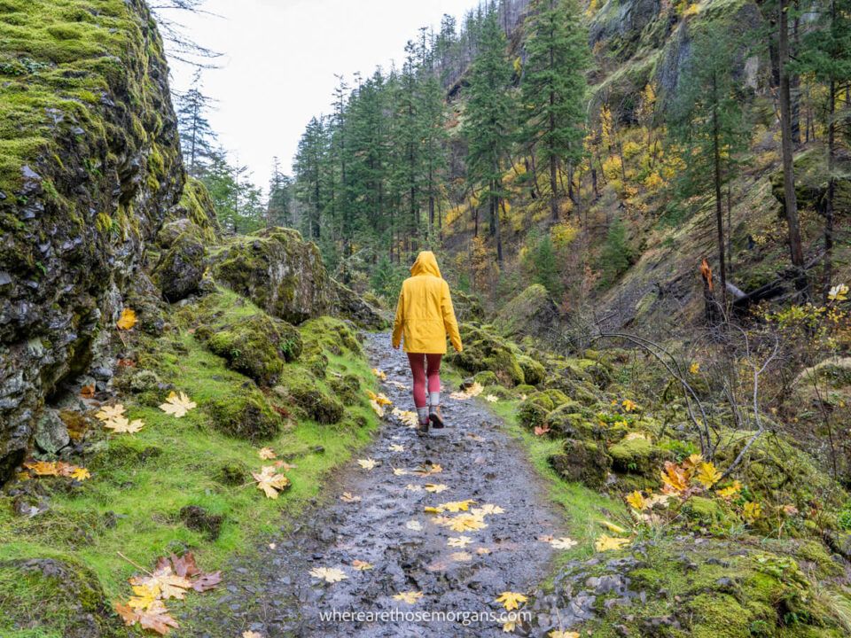 Our Tried And Tested Day Hike Packing List