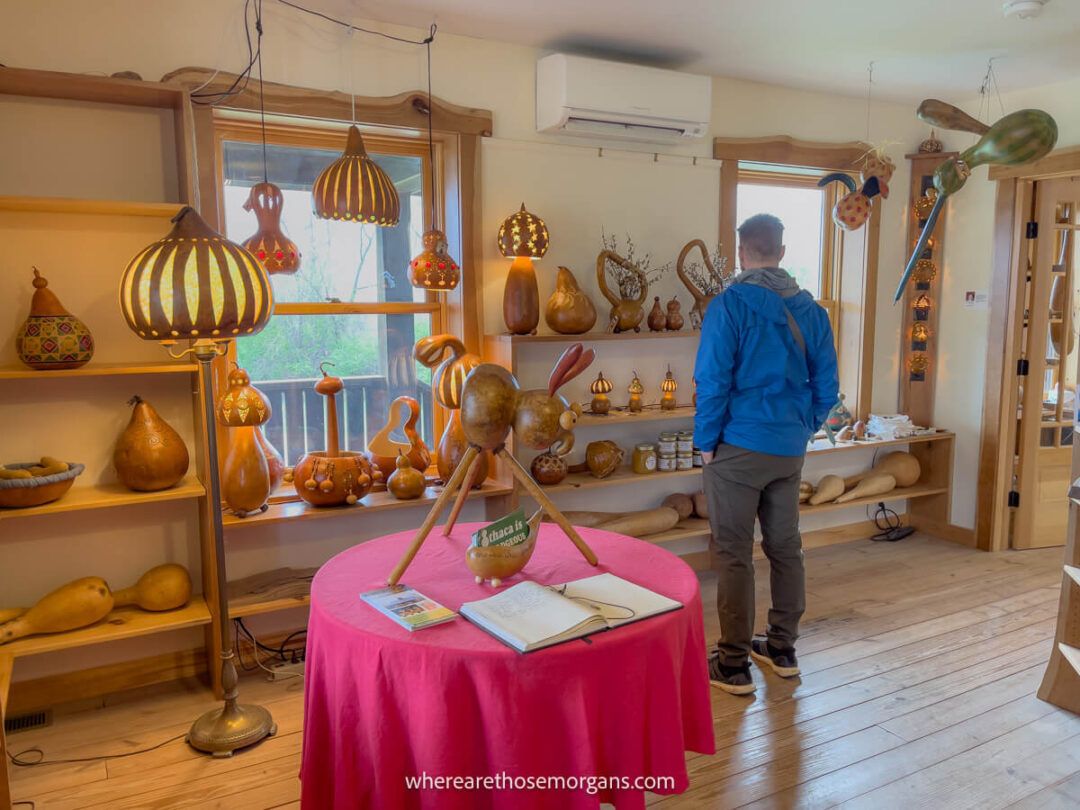 23 Best Things To Do In Ithaca, NY For 2023