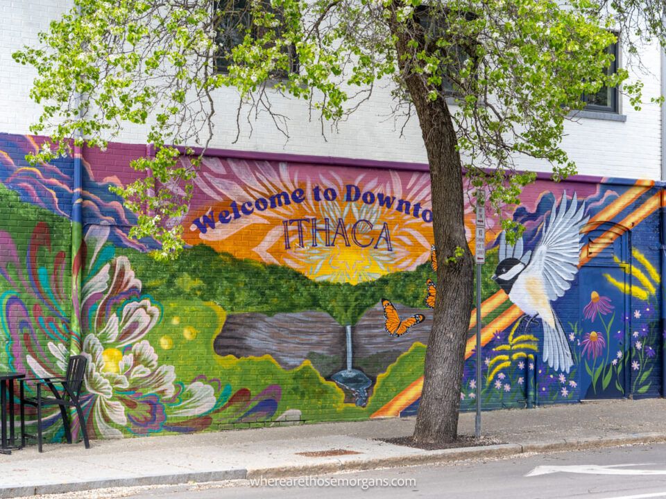 Exactly What To Do In Ithaca NY (For First Time Visitors)