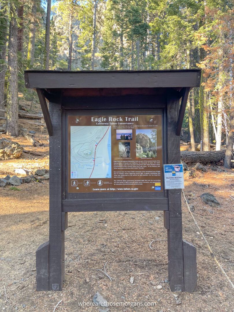How To Hike Eagle Rock Trail In Lake Tahoe