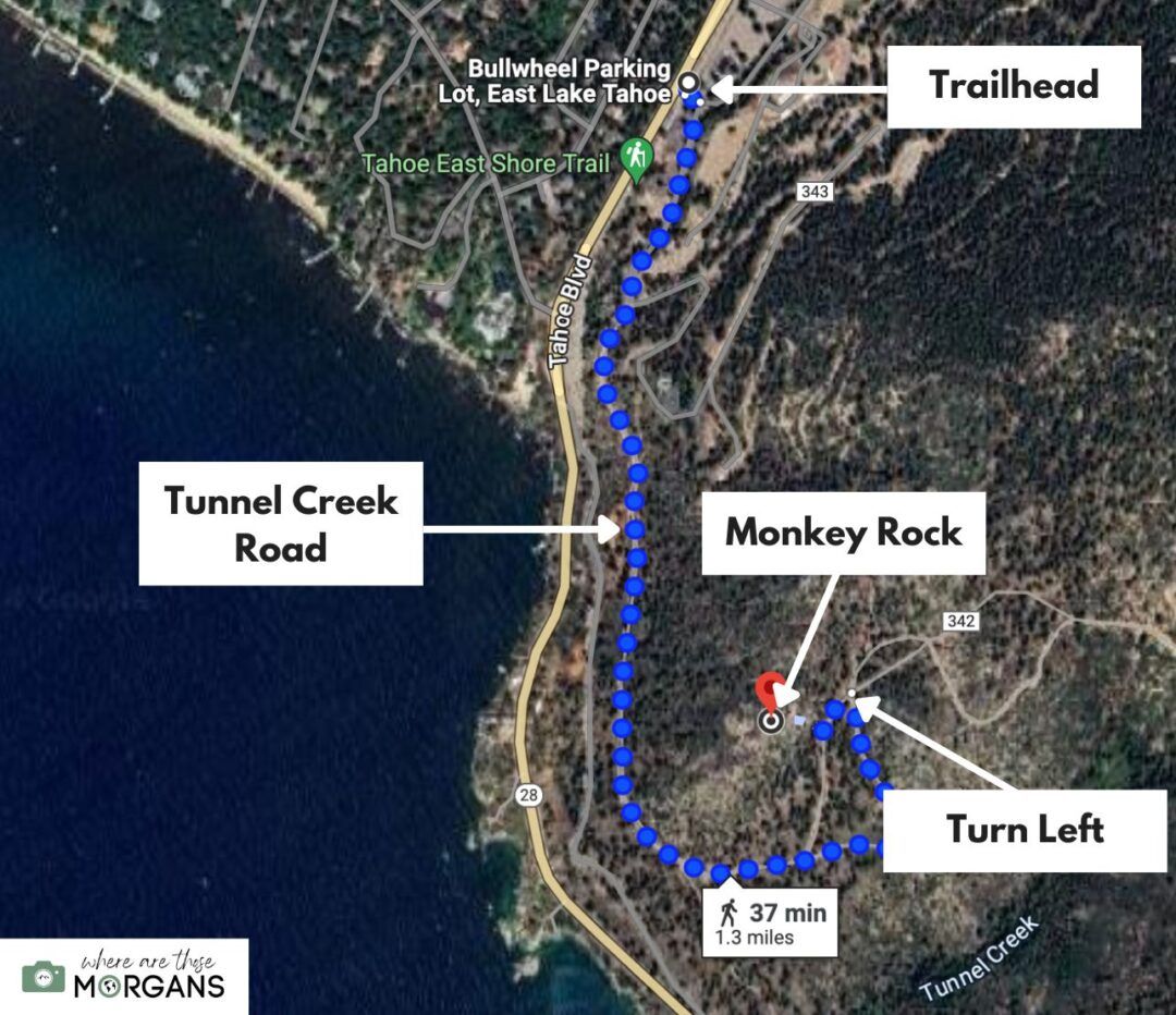 How To Hike Monkey Rock Trail In Lake Tahoe