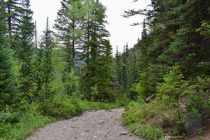 Hiking In Utah: The Easy + Hard Trails You Can't Miss
