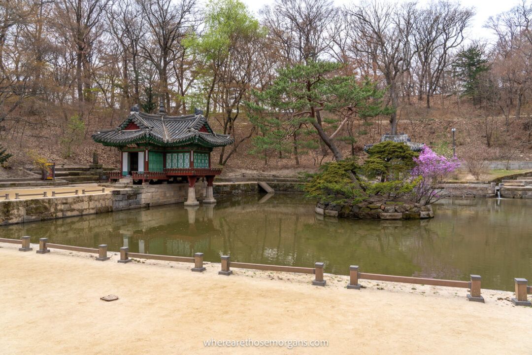 Huwon Secret Garden Tour In Seoul (2023 Guide)