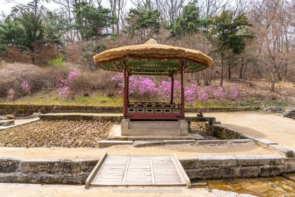 Tips For Taking The Huwon Secret Garden Tour In Seoul