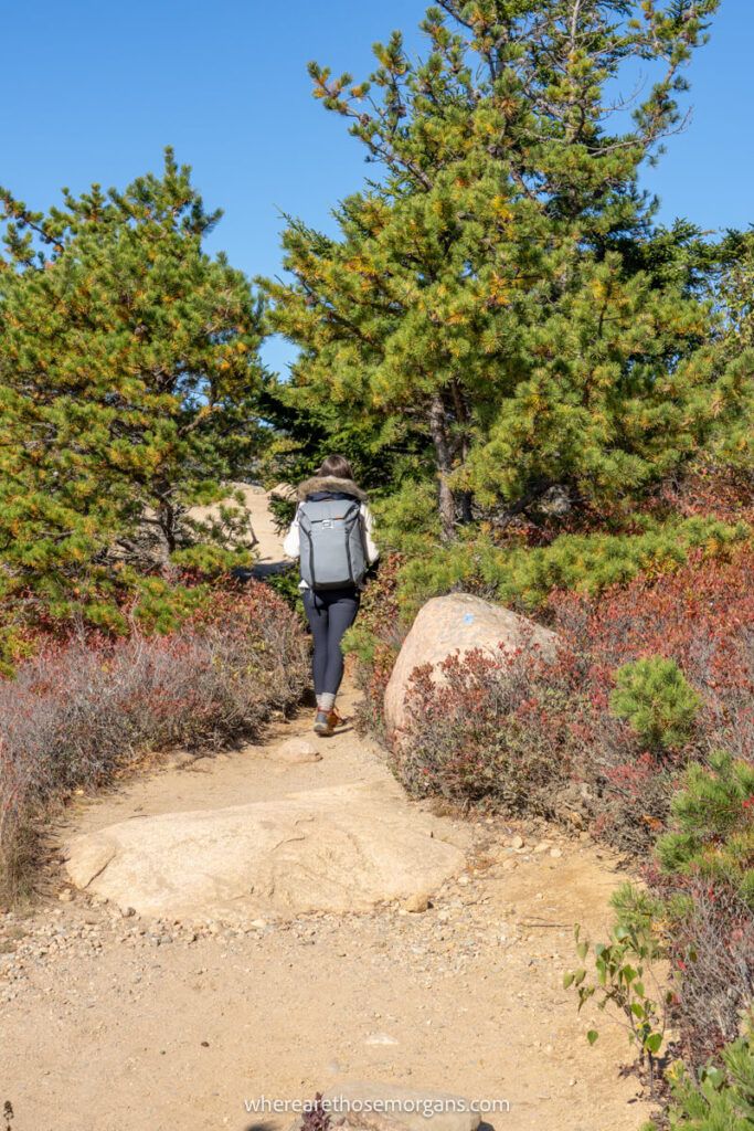 How To Hike The Awesome Beehive Trail In Acadia