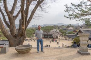 Visiting The 5 Royal Palaces In Seoul, South Korea
