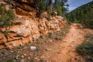 20 Awesome Hikes You Can't Miss In Zion National Park