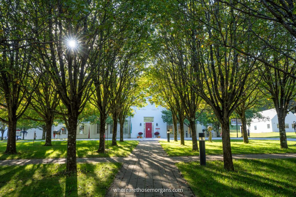 10 Unique Things To See In Manchester, VT