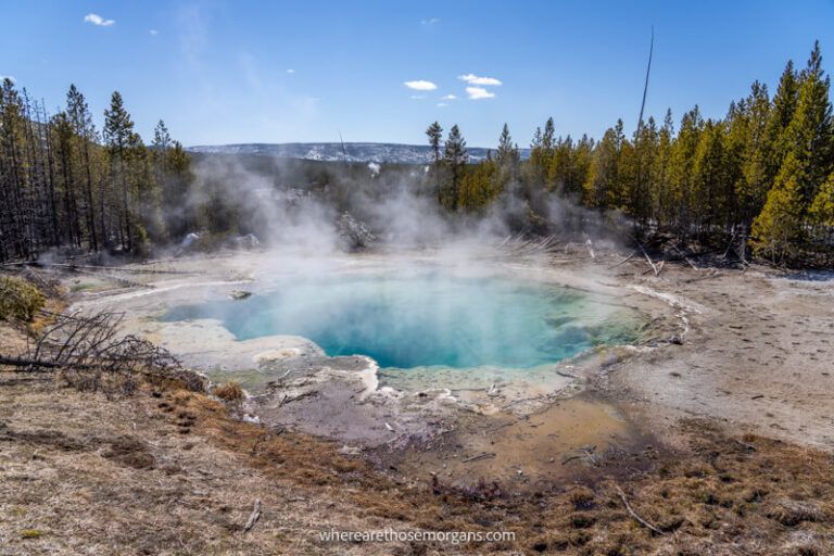 Yellowstone: Essential Travel Guide For First Time Visitors